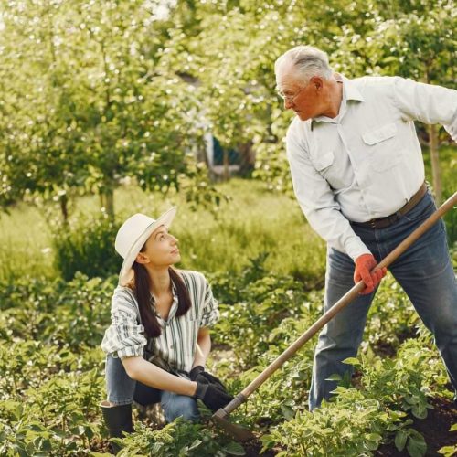 Side Effects Of Eliquis In The Elderly Risks Management Cost Saving Side Effects Of Eliquis In The Elderly Risks Management Cost Saving